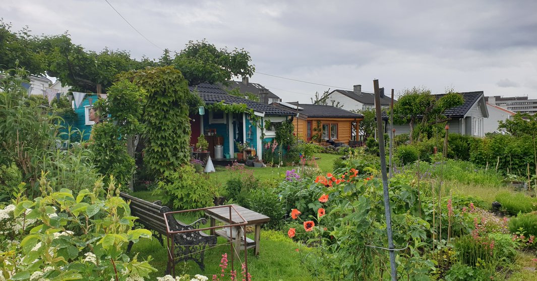 Norsk Kolonihageforbund (NKHF)